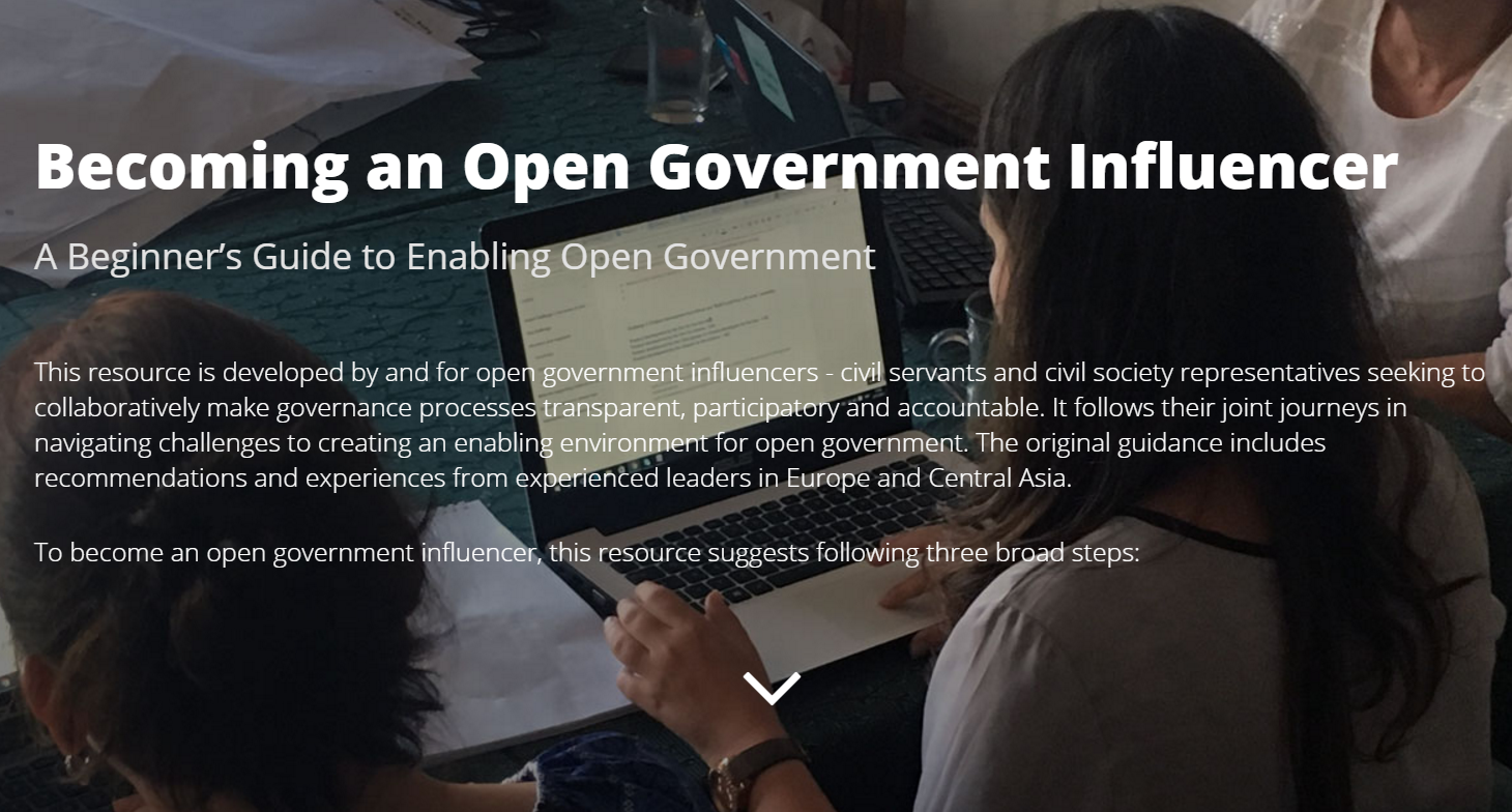 A Beginner’s Guide to Enabling Open Government - Observatory of Public ...