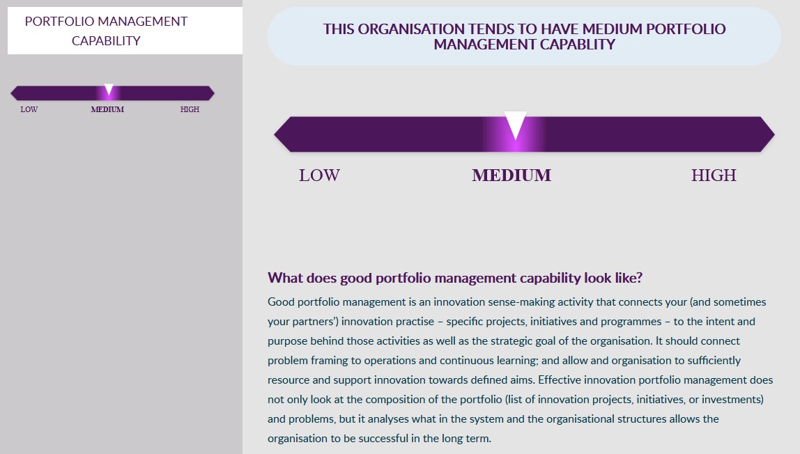 Innovation Portfolios: Examples from Practitioners - Observatory of Public Sector Innovation